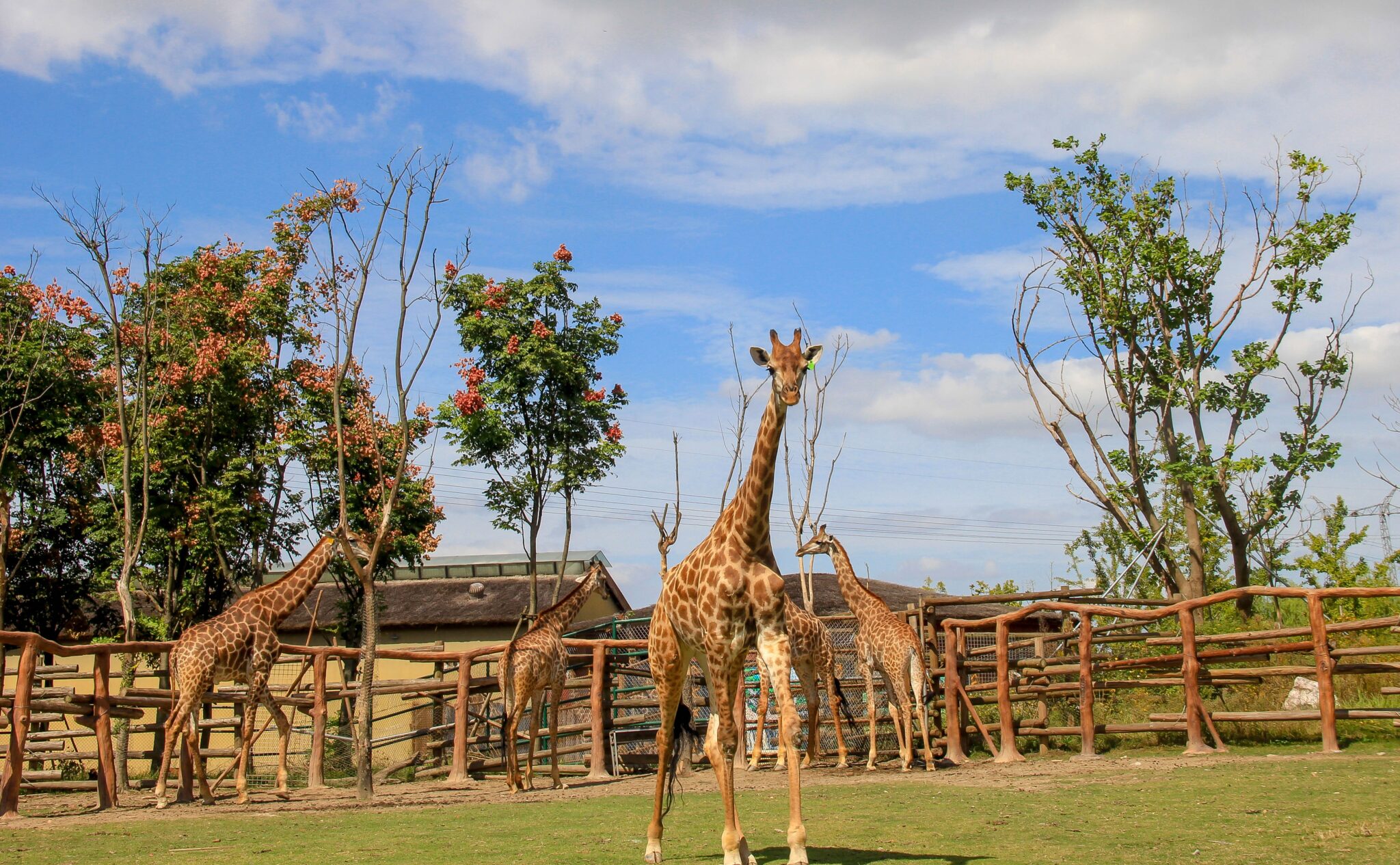 travelBulletin | Wonderful Nantong: culture, history, and nature, in ...